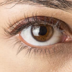 How Many Eye Colors Are There? | Eye Color Guide & Percentages